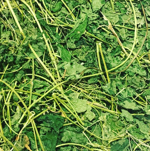 Cerasee for Herbs Tea Cerasee Leaves Detox Herbs Momordica - Etsy Canada