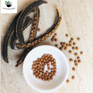 Winged Bean Seeds, Psophocarpus Tetragonolobus, Asparagus Pea, Wing Pea ...