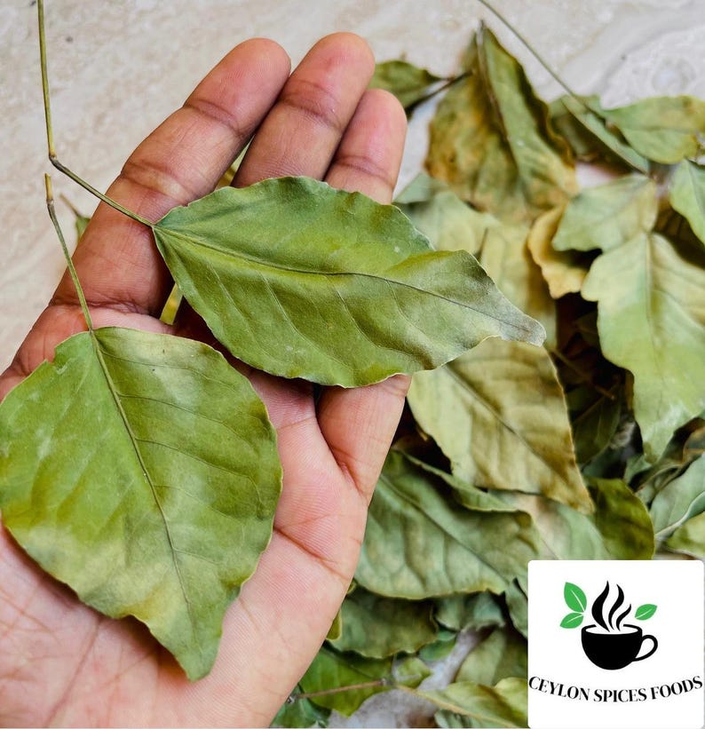 Dried Bael Leaves & Powder Aegle Marmelos, Bilva Tea - Etsy Australia