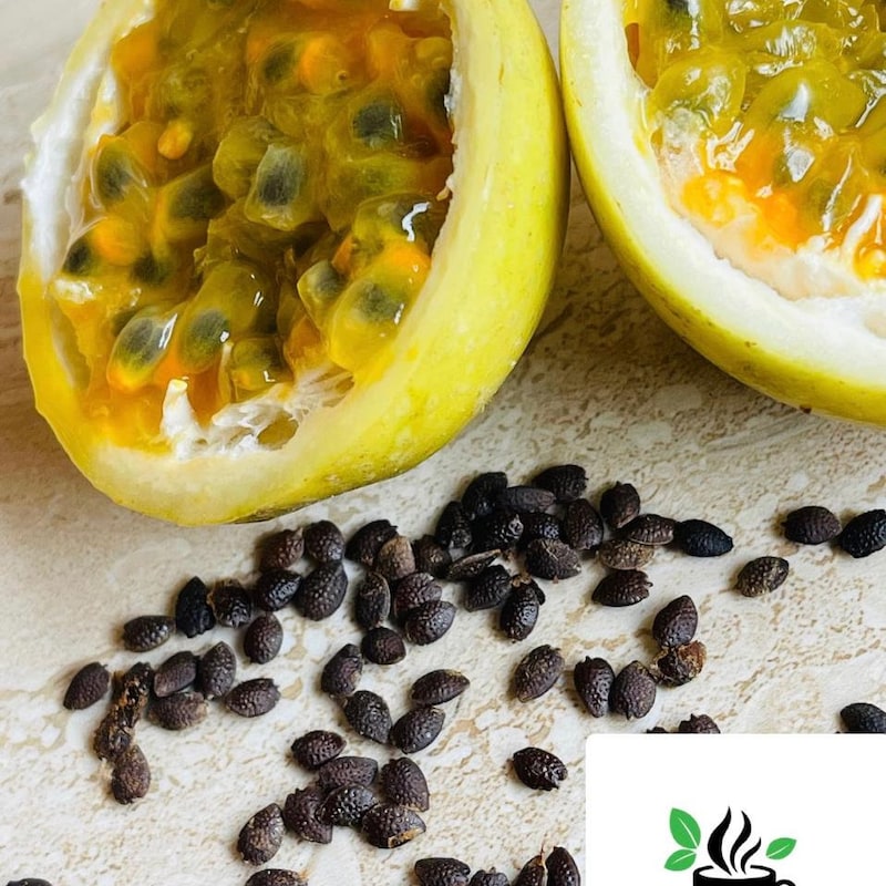 Passion Flower Seeds - Etsy