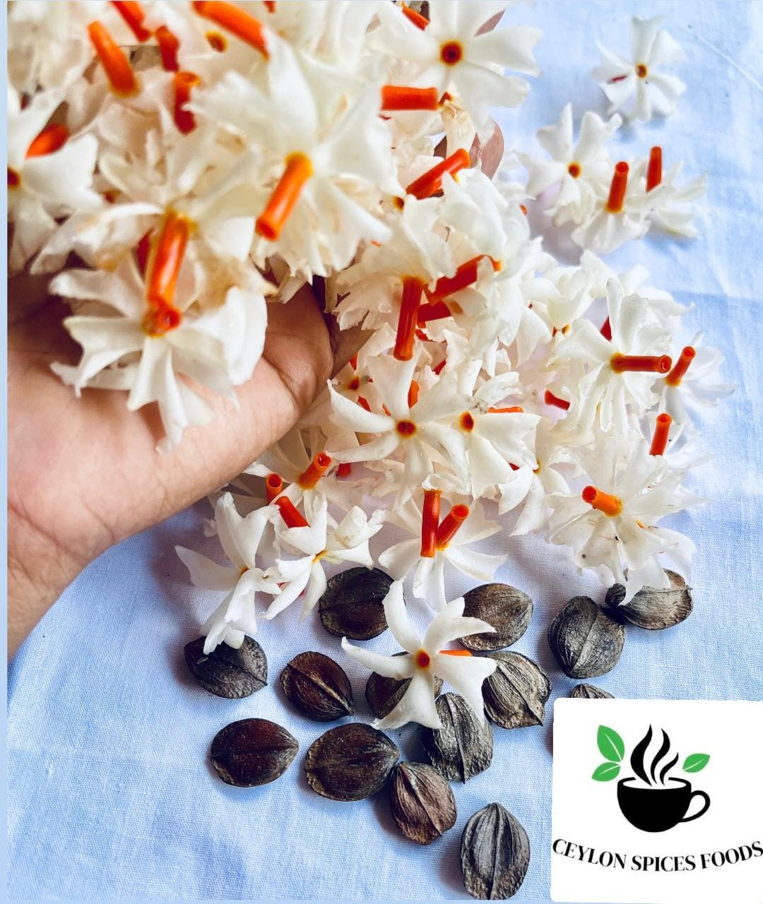 Nyctanthes Arbor-tristis Seeds Night Flowering Jasmin, Parijat - Etsy