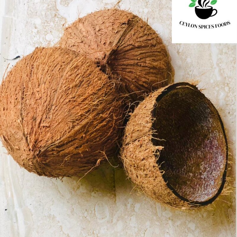 Coconut Shell - Etsy