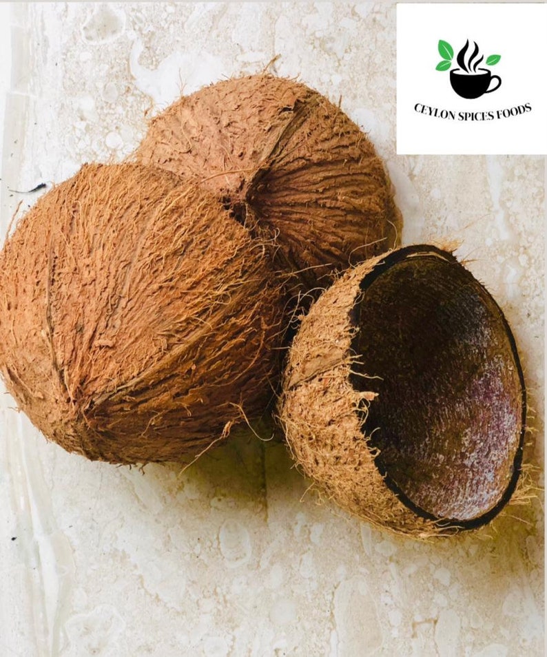 Coconut Shell Half, Eco Friendly Products for Crafting Items Making and ...