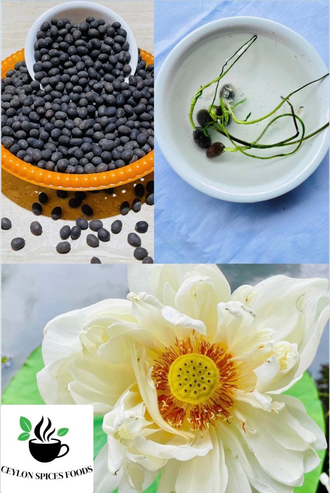 1kg White Lotus Seeds, White Nelumbo Nucifera Seeds, White Lotus Seeds ...