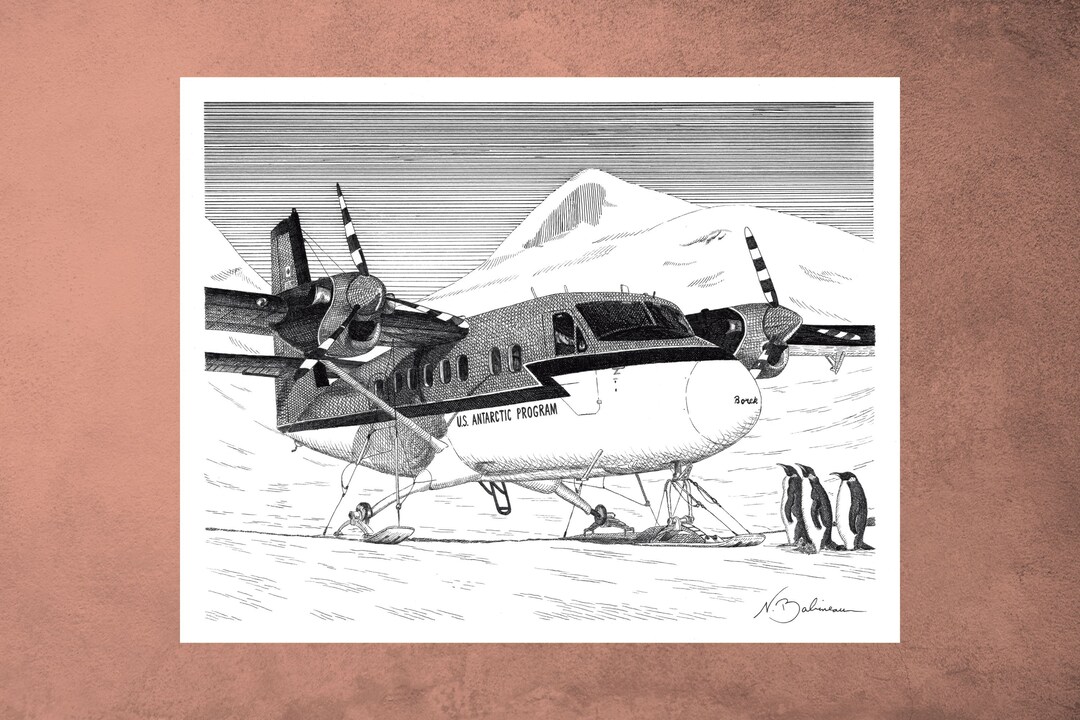 Kenn Borek Twin-otter Airplane and Penguin in Antarctica, Aviation ...