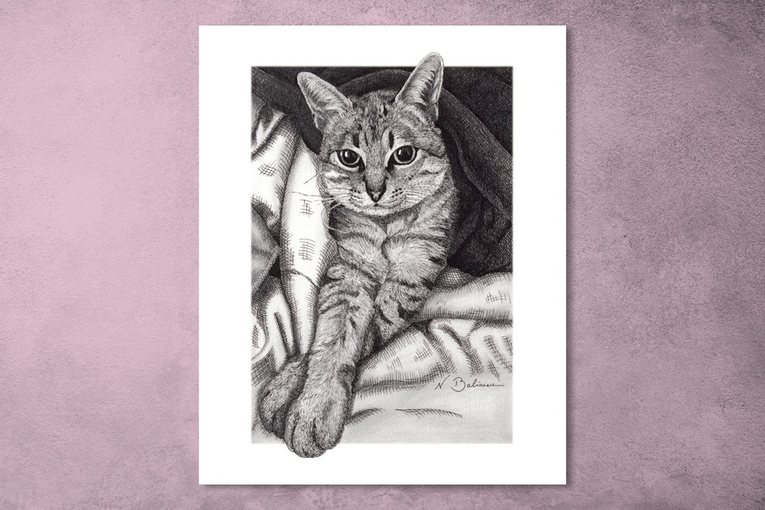Minou the Cat, Animal Illustration, Original Artwork, Ink & Graphite ...