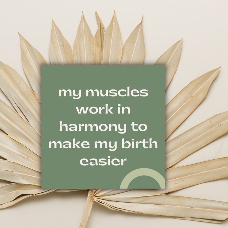 Pregnancy and Birth Affirmation Cards // Hypnobirthing // Birth Quotes ...