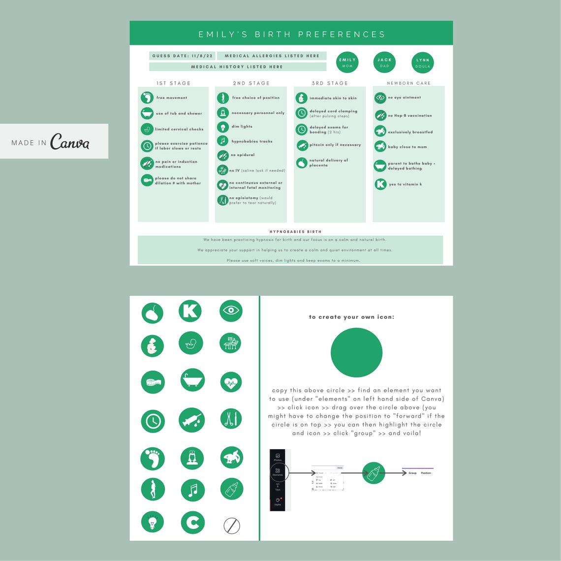 Emerald Green Visual Birth Plan / Birth Preferences / Natural - Etsy