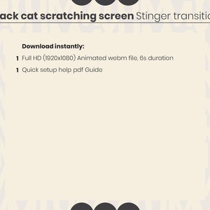 Animated Twitch Stinger Scene Transition for Your Streams ・ Black Cat ...