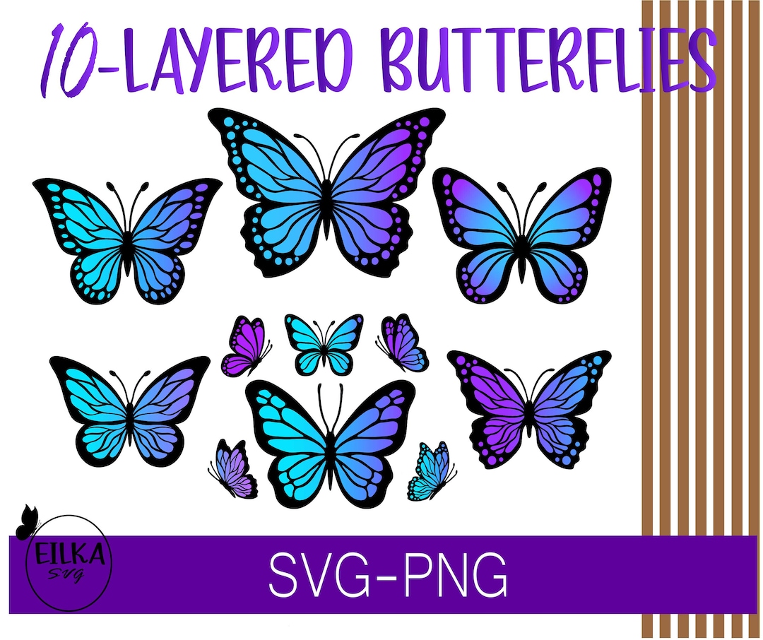 Mariposa svg Paquete de svg de mariposa Paquete de mariposa - Etsy España