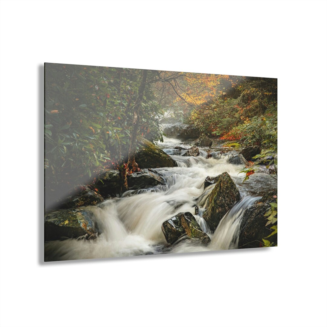 Bubbling Spring Branch - Etsy