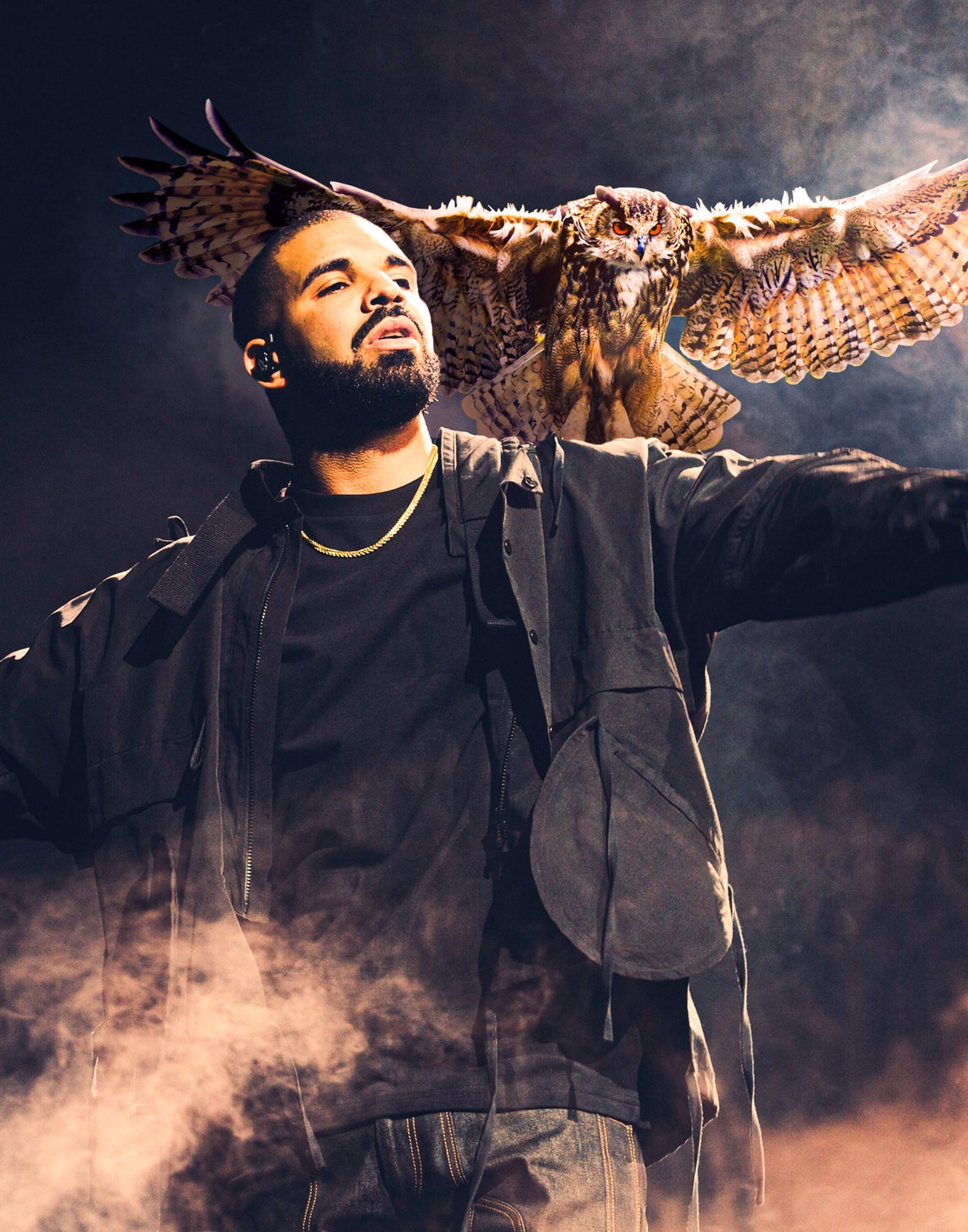 Drake Poster/ Drake Owl Poster/ Drake Print/ Drake Concert - Etsy