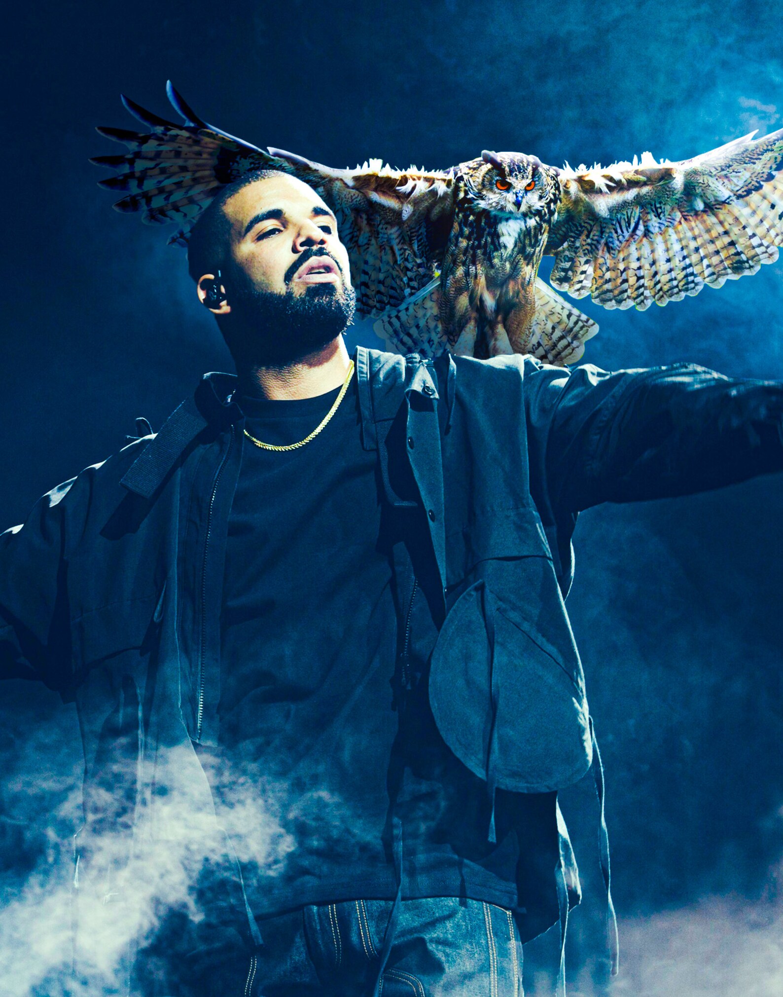 Drake Poster/ Drake Owl Poster/ Drake Print/ Drake Concert | Etsy