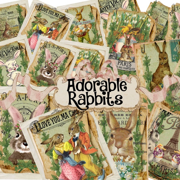 French Rabbit - Etsy