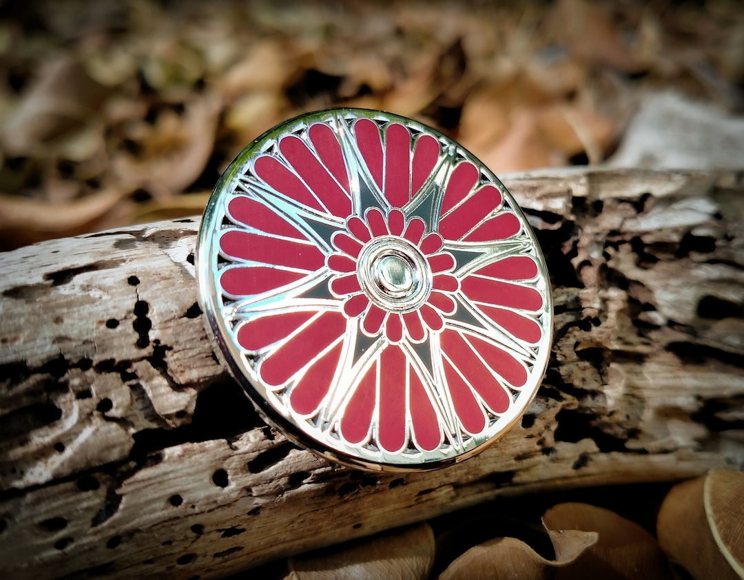 Wayward Compass - Hollow Knight Enamel Pin - Etsy