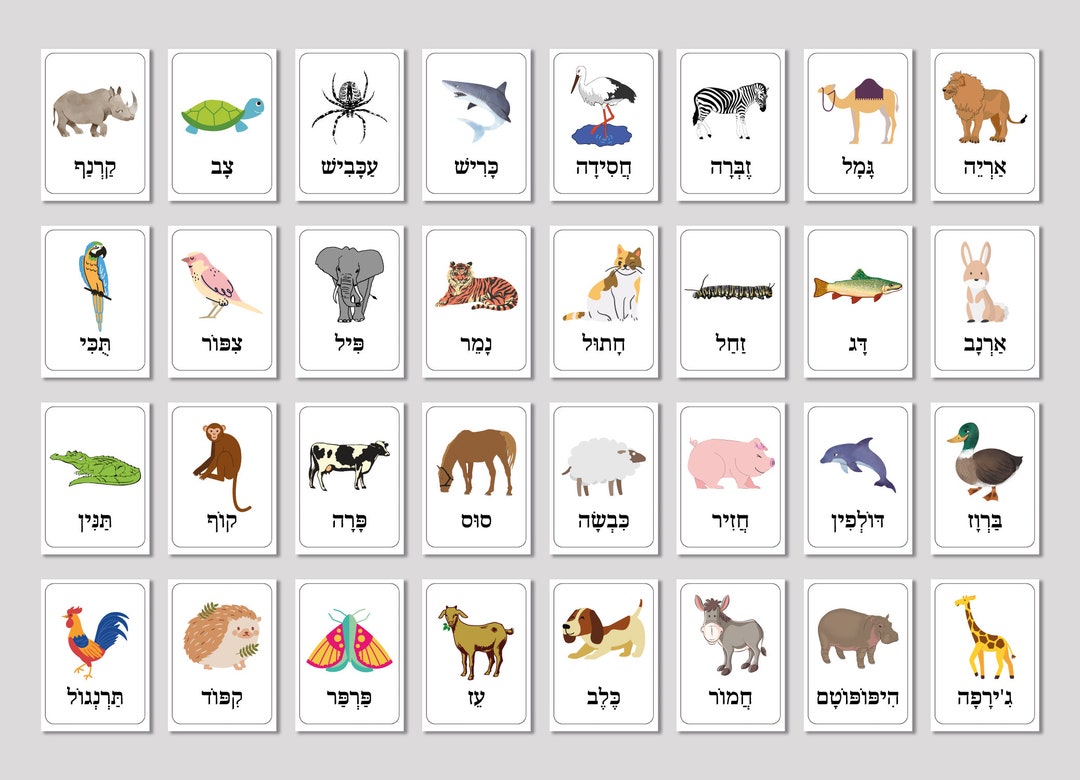 Hebrew English Printable Animals Memory Game / Flashcards - Etsy Australia