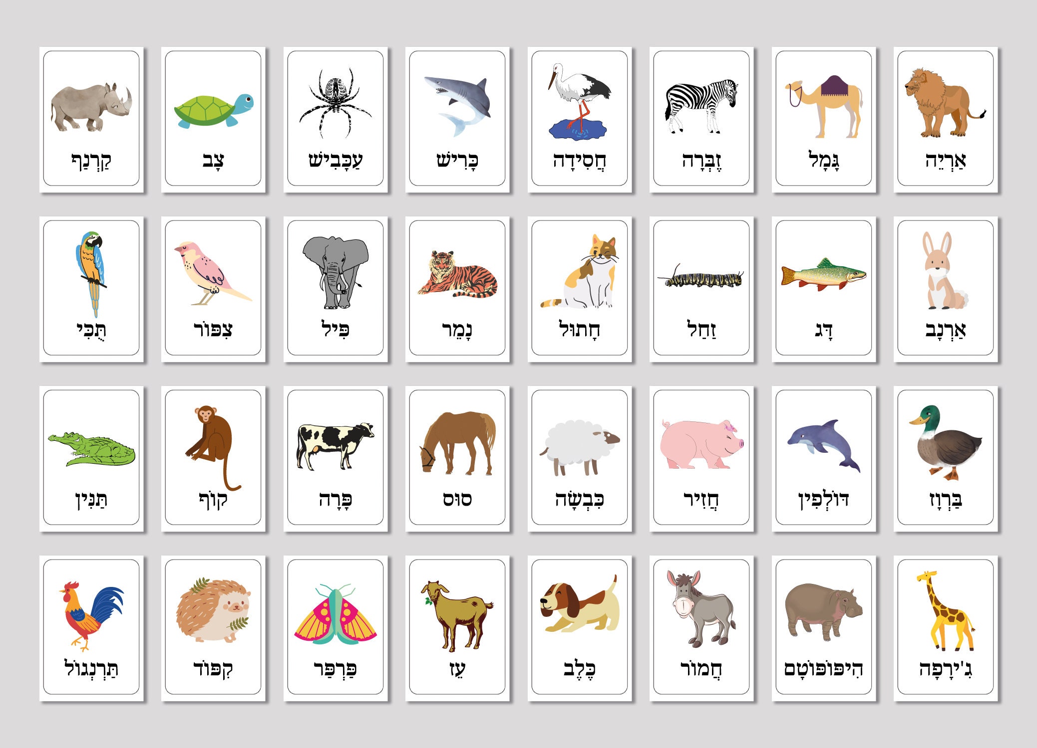 Kosher Animals