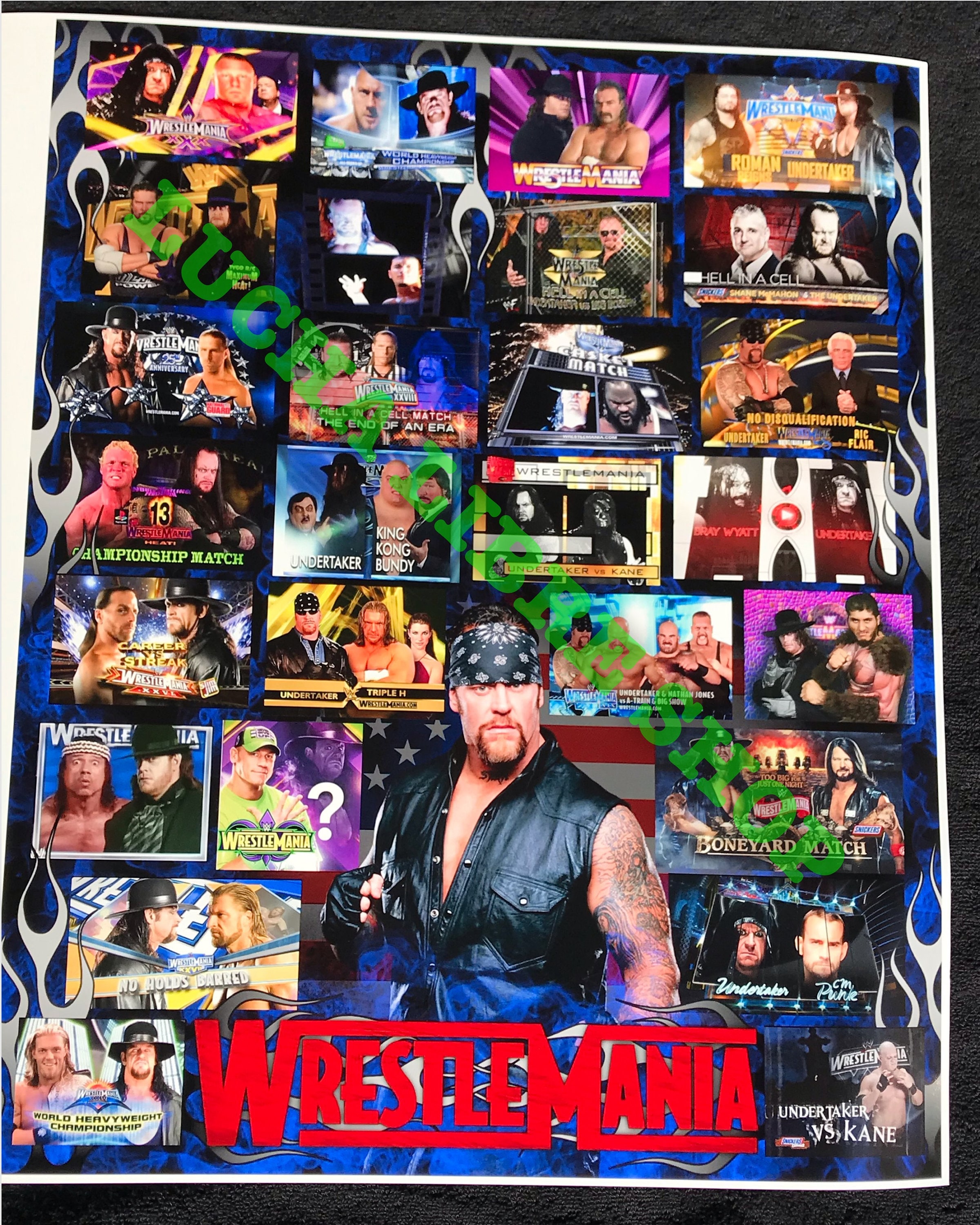 Wrestlemania 13 Poster