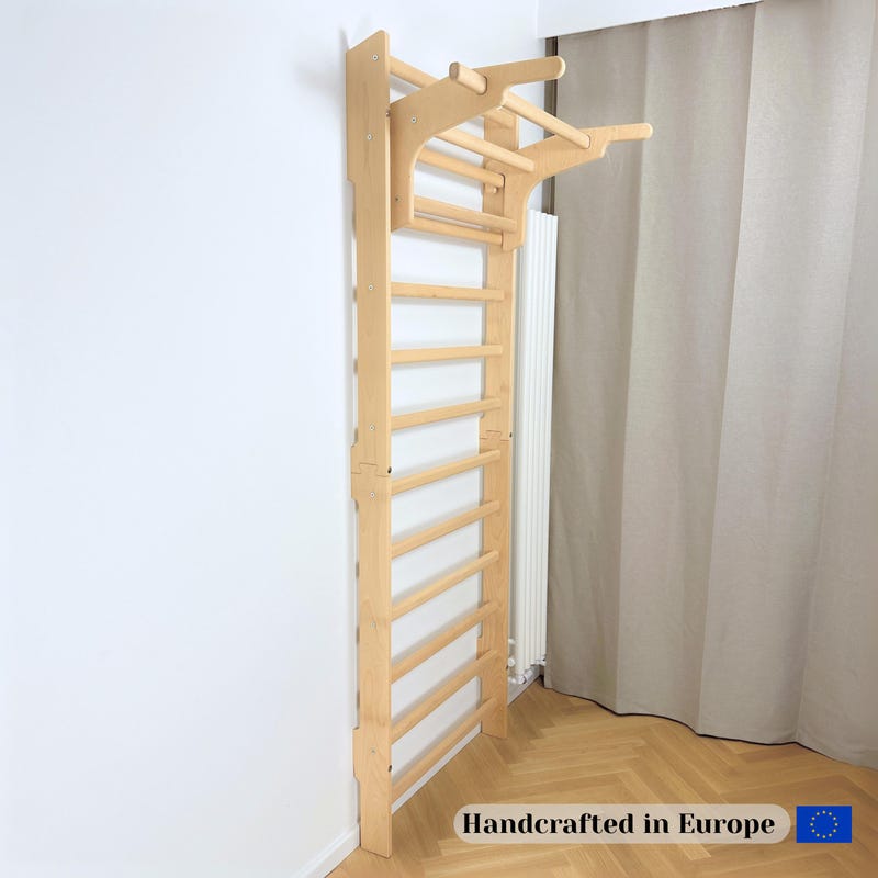 Stall Ladder Dip Bar - Etsy