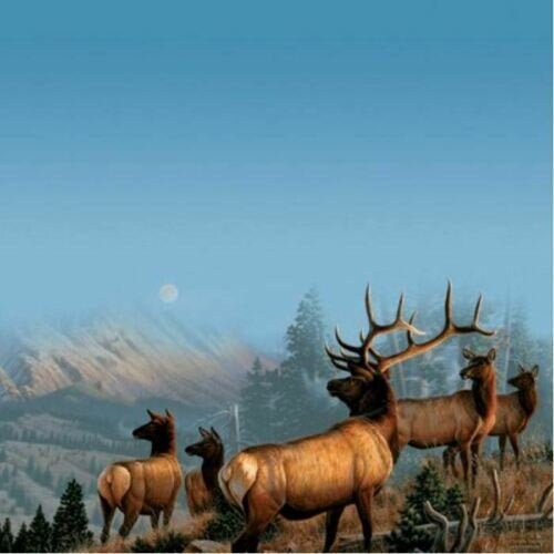 Sugartree 12 X 12 2 Sheets of Scrapbooking Paper Herd of Elk Single ...