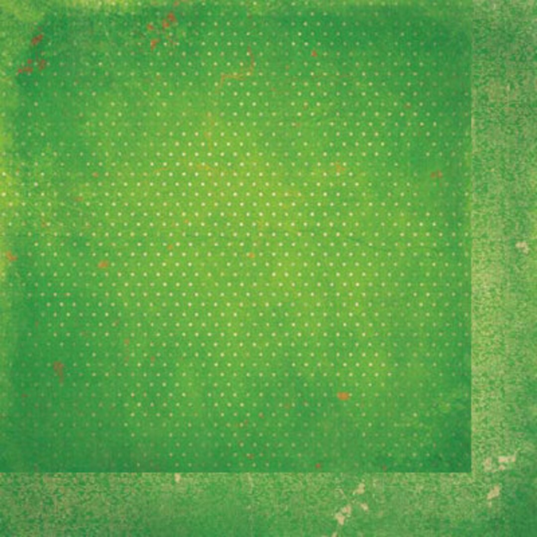 Bobunny 12x12 Scrapbooking Paper Double Dot Wasabi Vintage 2 Sheets - Etsy