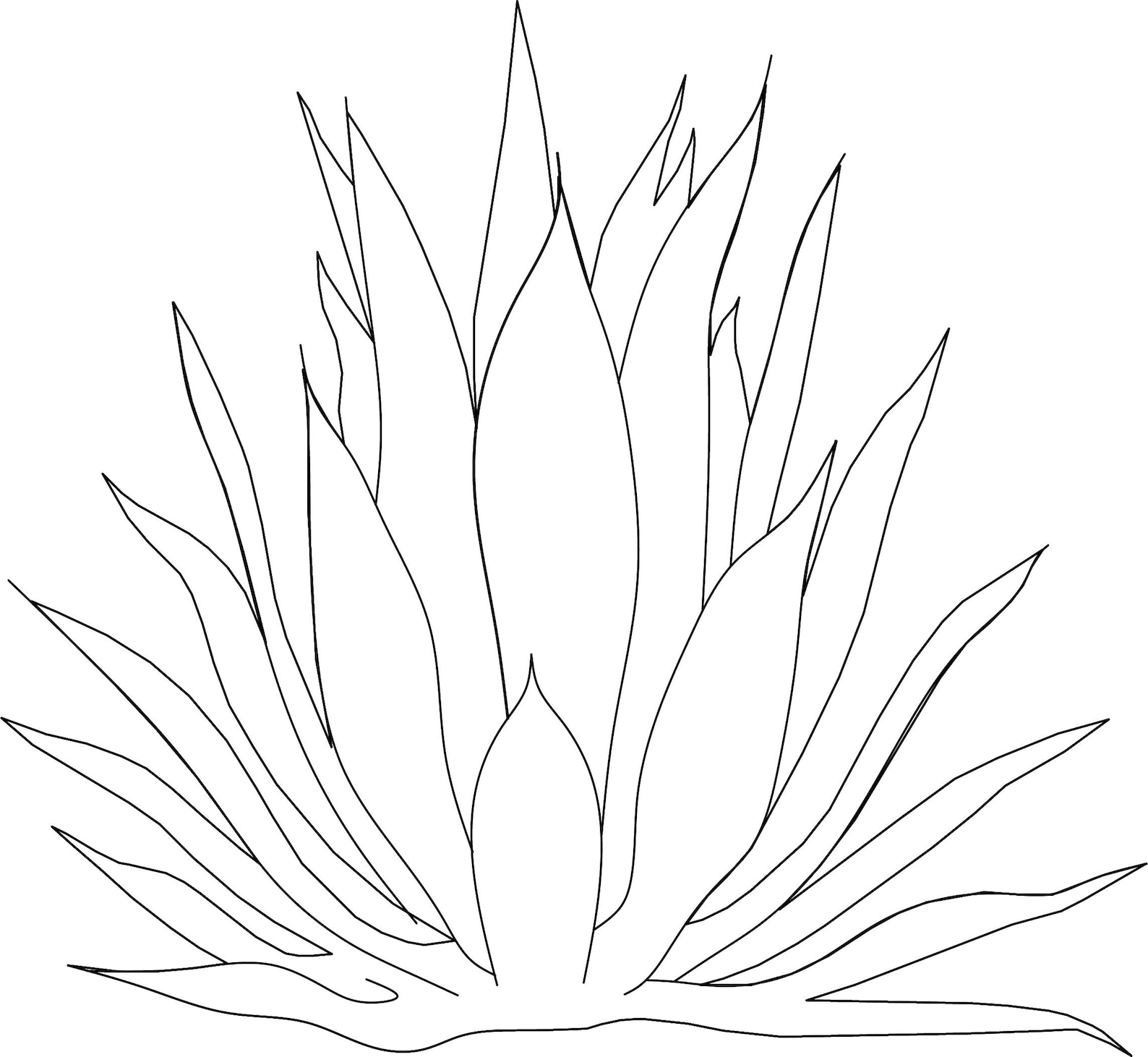 Agave Americana, Century Plant Line Art SVG | Cricut Making | Vector ...