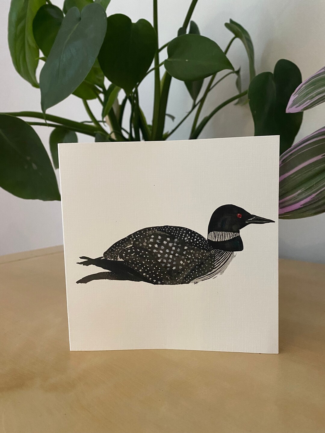 Loon Watercolour Blank Greeting Card - Etsy
