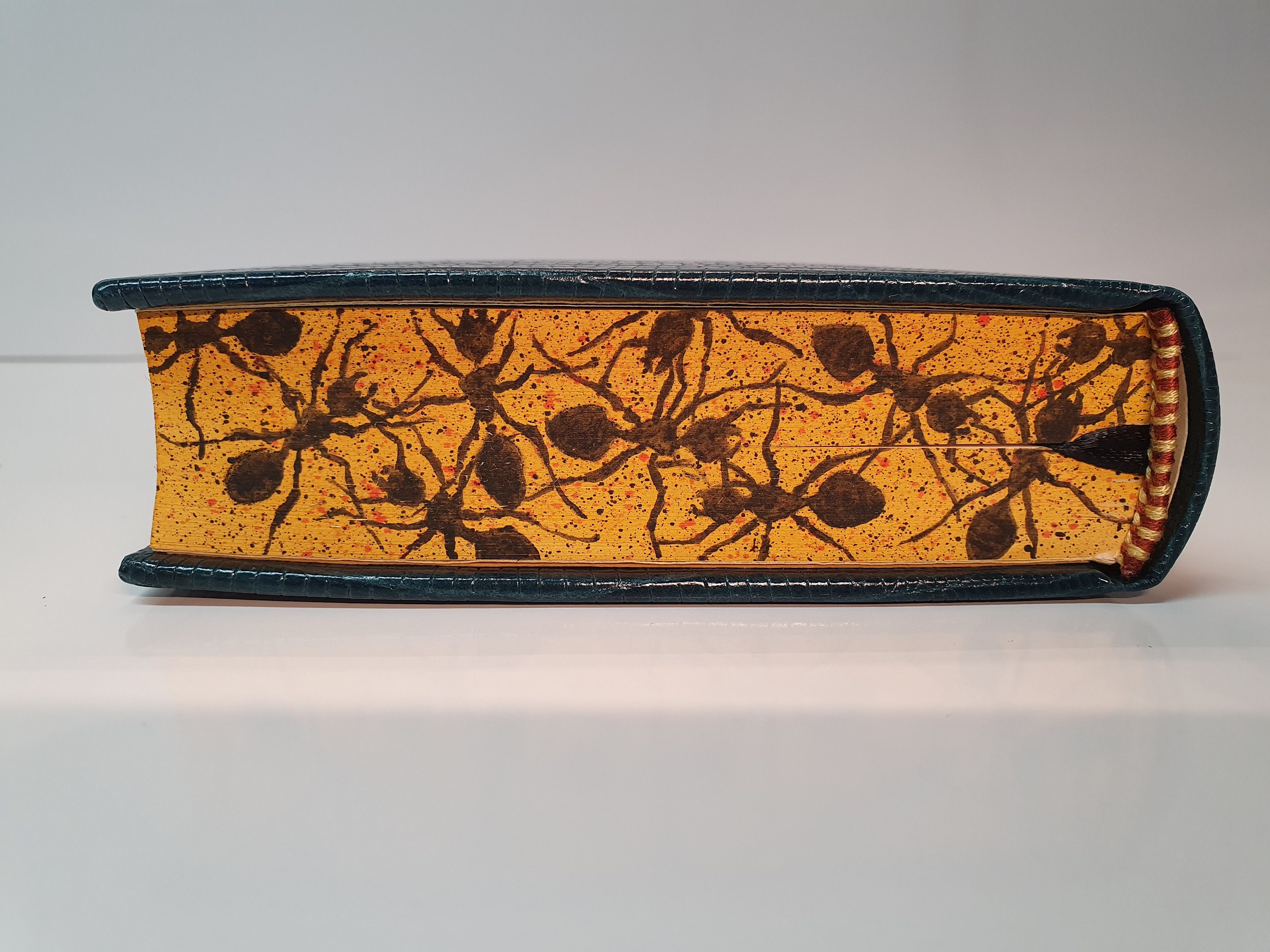 Gabriel Garcia Marquez, One Hundred Years of Solitude Leather Binding With Painted Book Sides ...