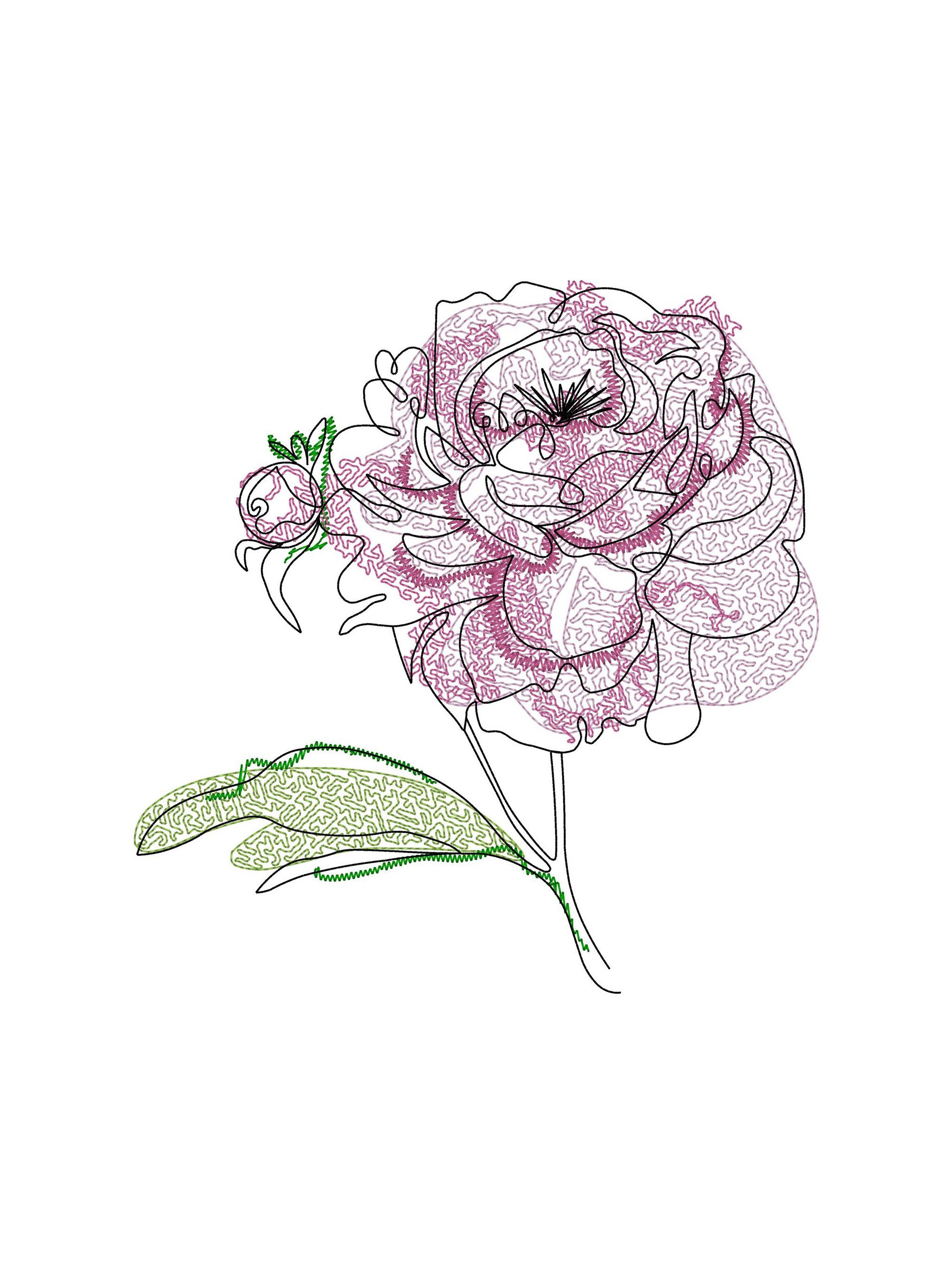 Peony One Line Art Machine Embroidery Design. Flowers - Etsy Australia