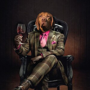 Custom Pet Portrait in Suit . Custom Animal Portrait in Suit . Custom ...