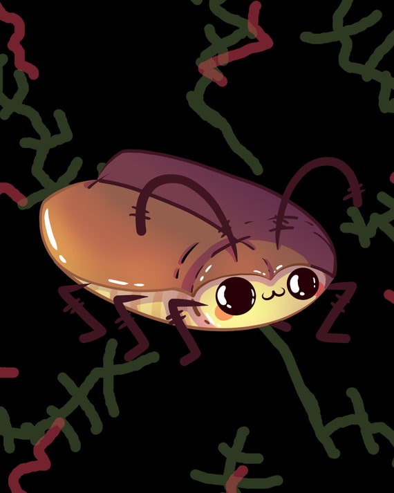 Cute Cockroach Drawing