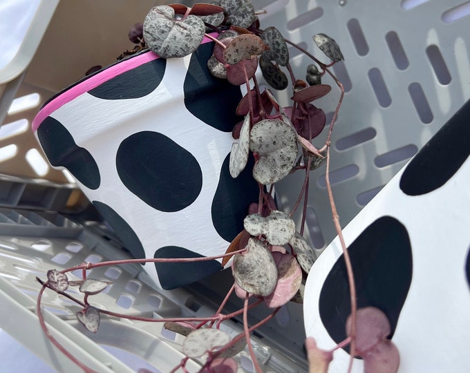 Hand Painted Black and White Cow Print With Pink 11cm Indoor Terracotta ...
