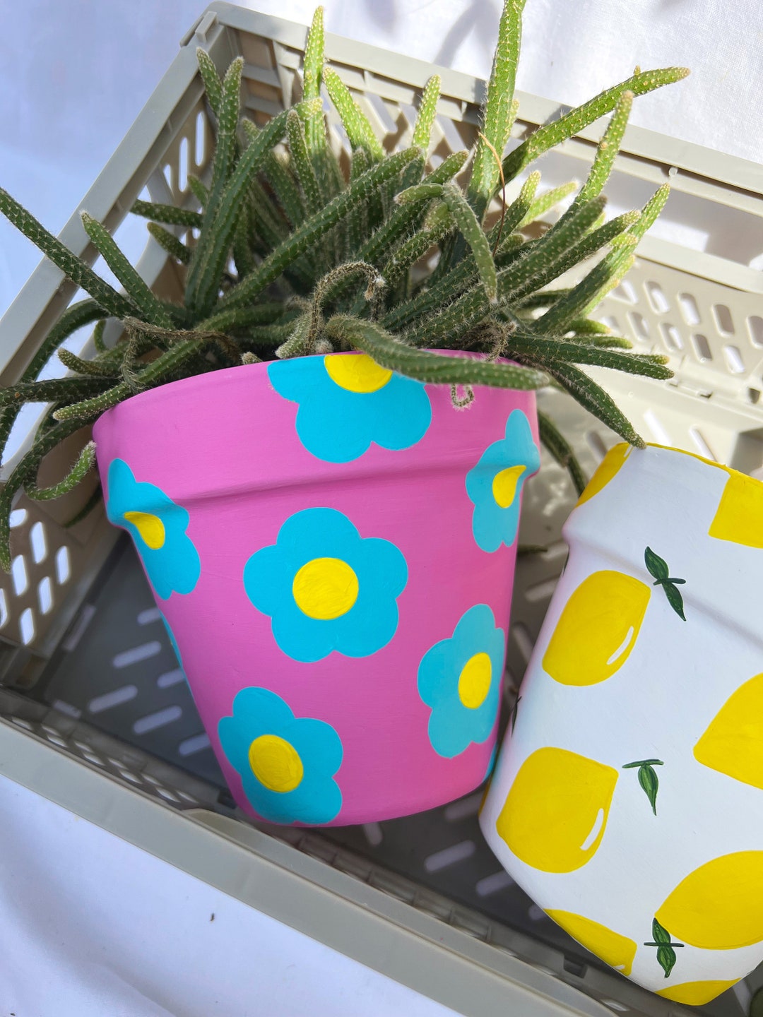 Hand Painted Pink Flower Indoor Plant Pot, Terracotta Planter, Flower ...