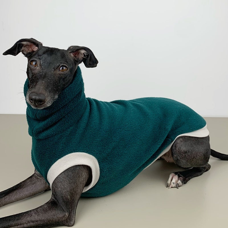 PremiumHound - Etsy