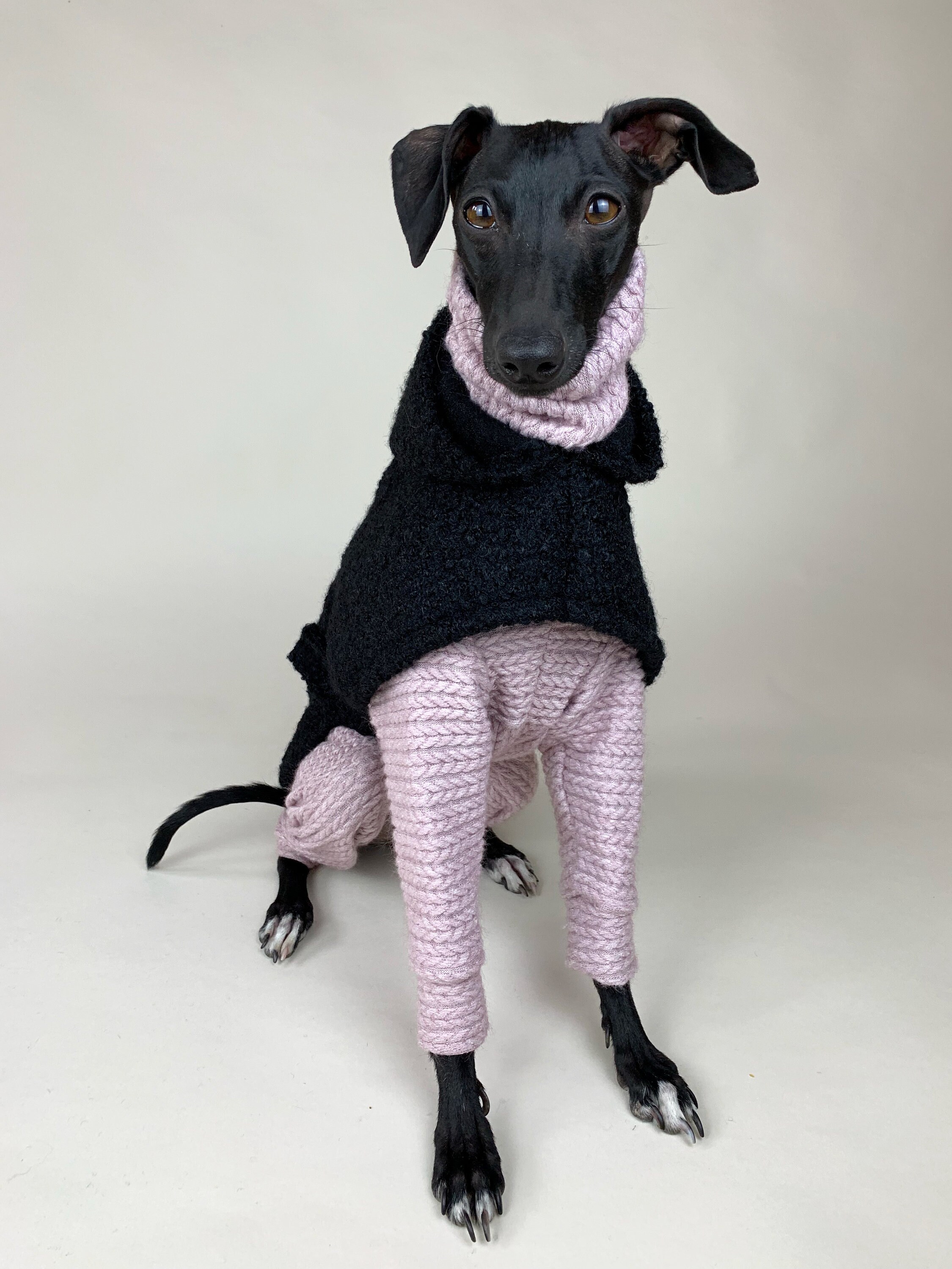 Italian Greyhound Coat Winter Jacket Cozy and Warm - Etsy