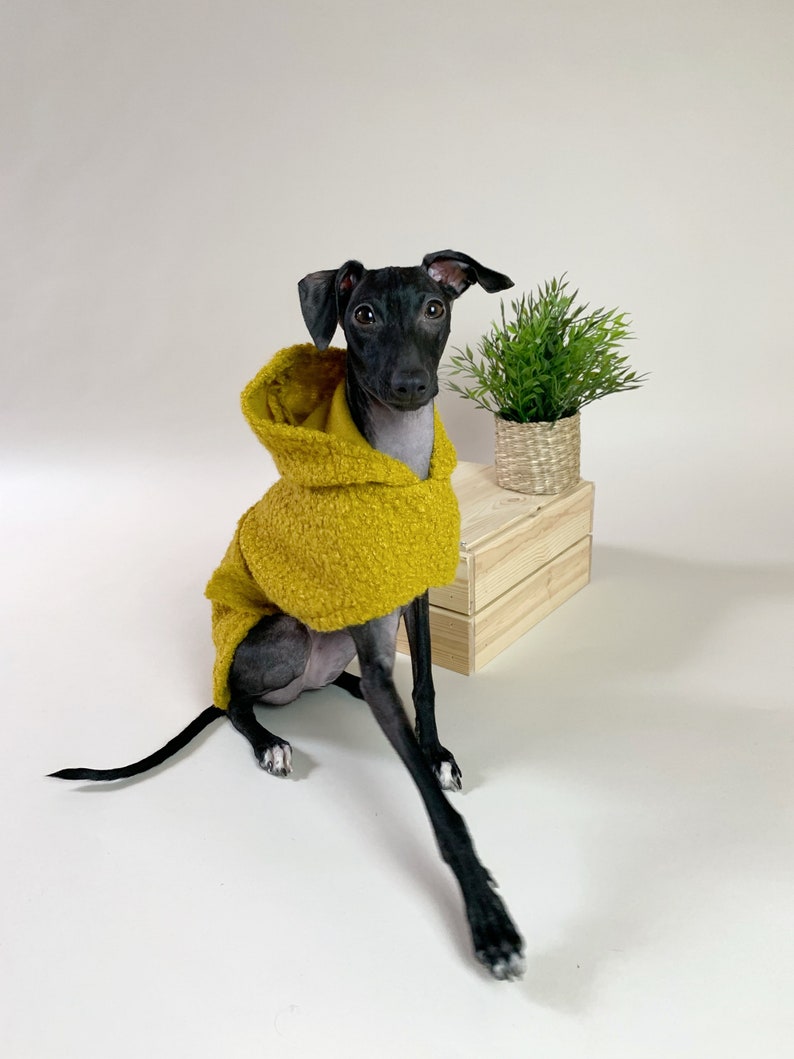 Italian Greyhound Coat Winter Jacket Cozy and Warm - Etsy