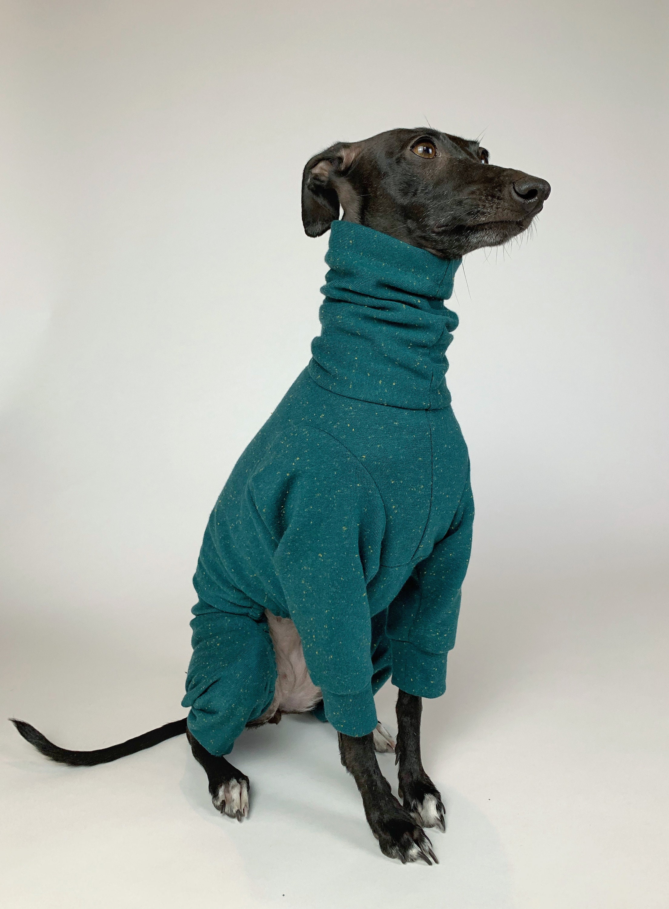 Italian Greyhound Jumpsuit, Iggy Romper, Soft and Warm Stylish Onesie ...