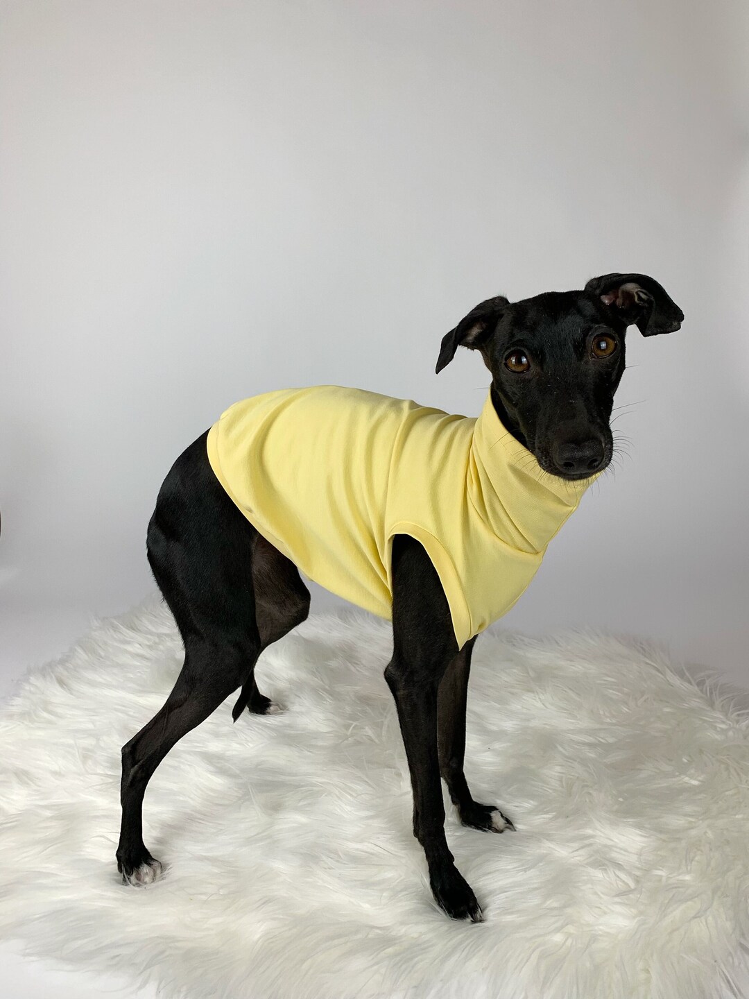 Italian Greyhound Tank Top, Sleeveless Top, Iggy Crop Top, Summer Top ...