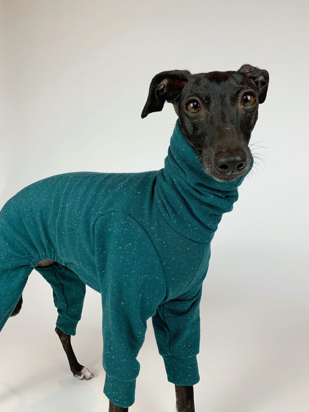 Italian Greyhound Jumpsuit Iggy Romper Soft and Warm Stylish - Etsy