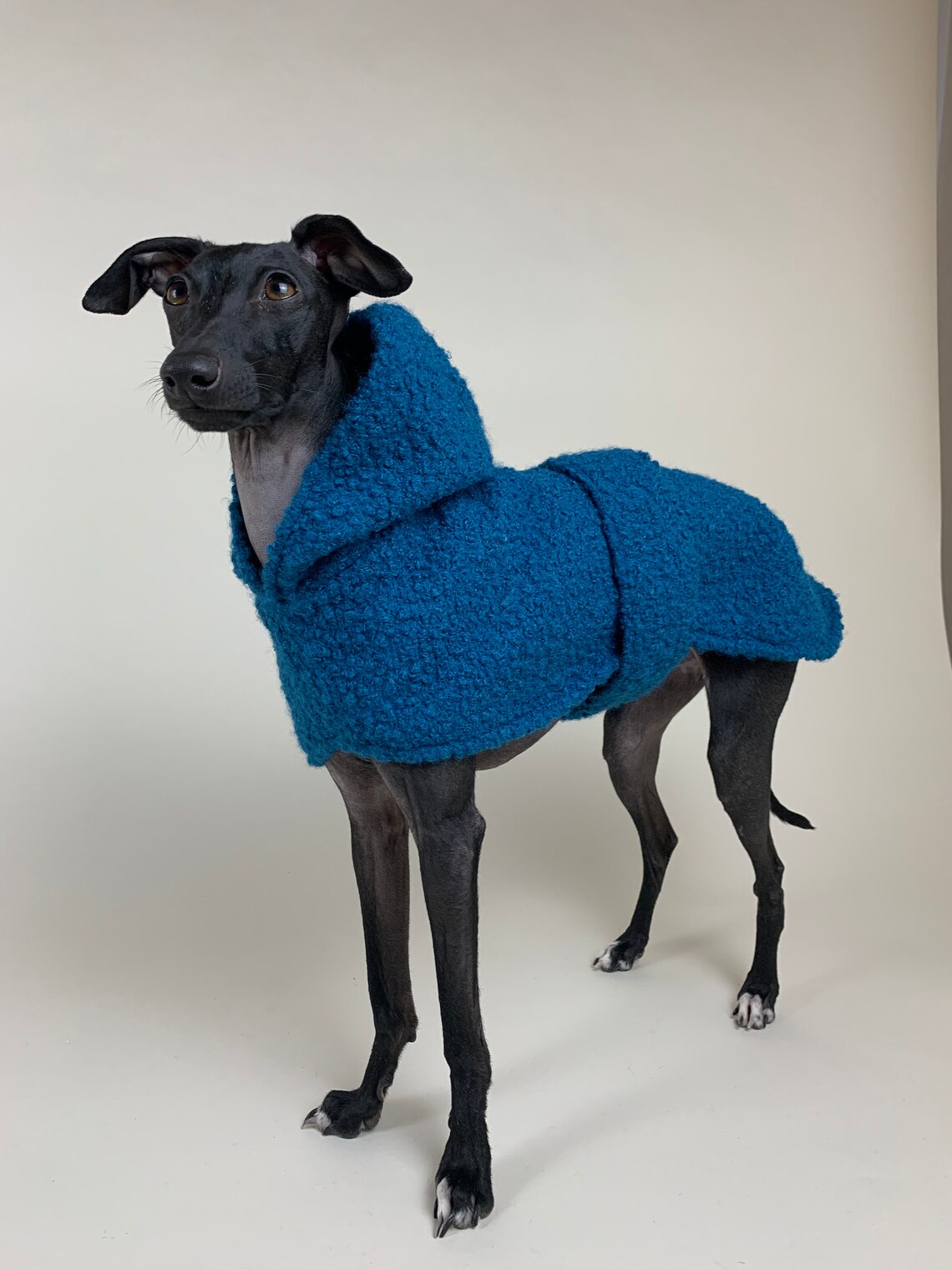 Italian Greyhound Coat Winter Jacket Cozy and Warm - Etsy