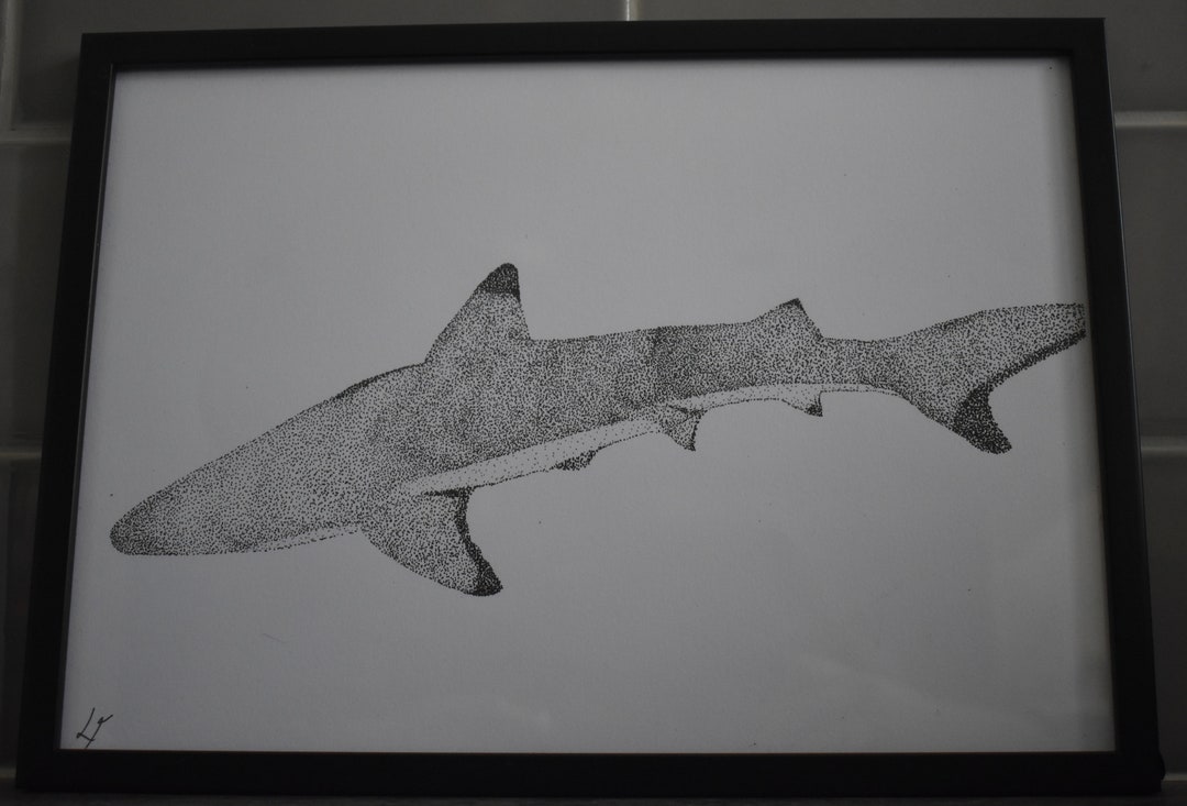 A4 Black Tip Shark Pointillism - Etsy