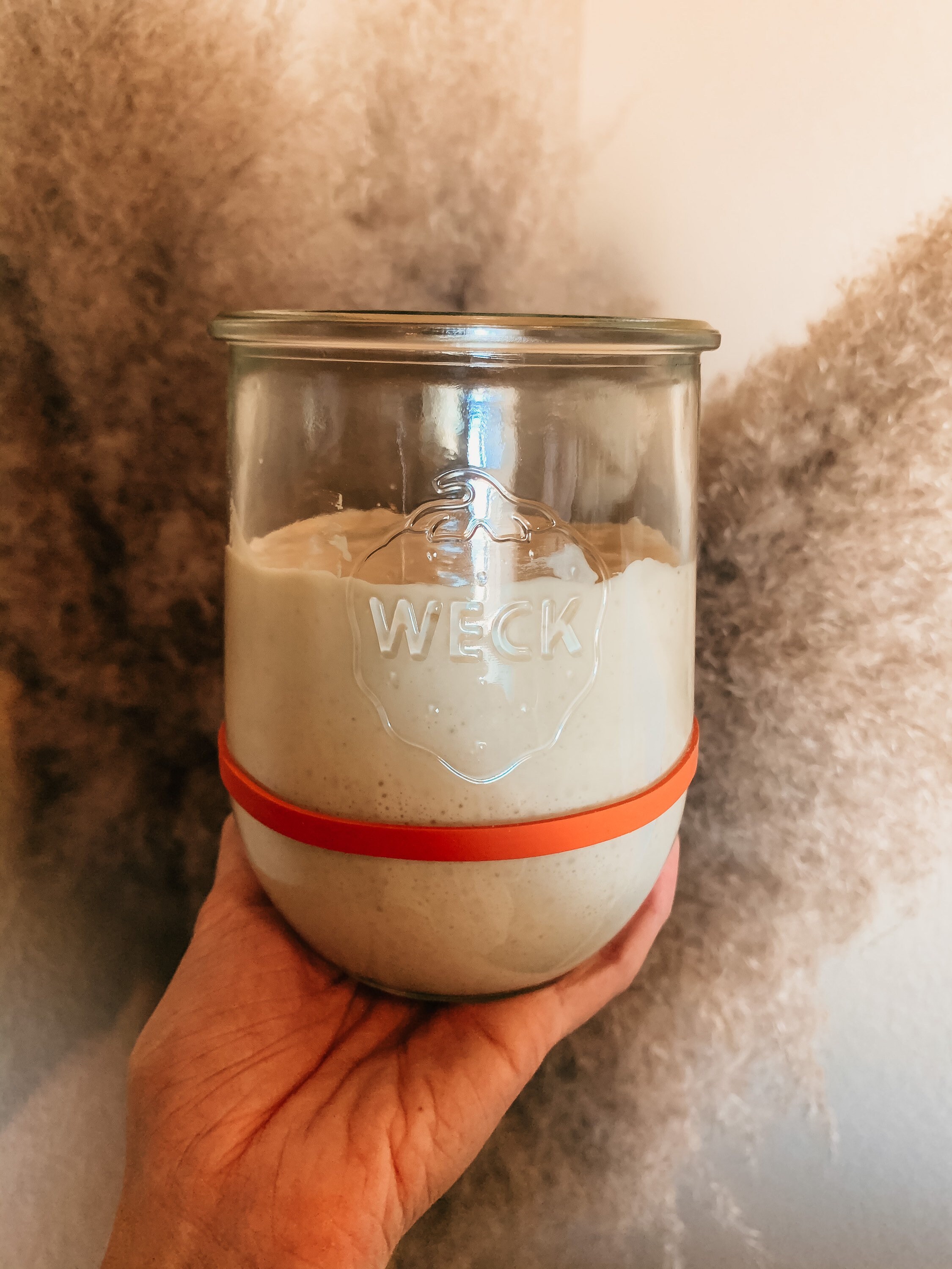 Homesteading Sourdough Kit - Etsy