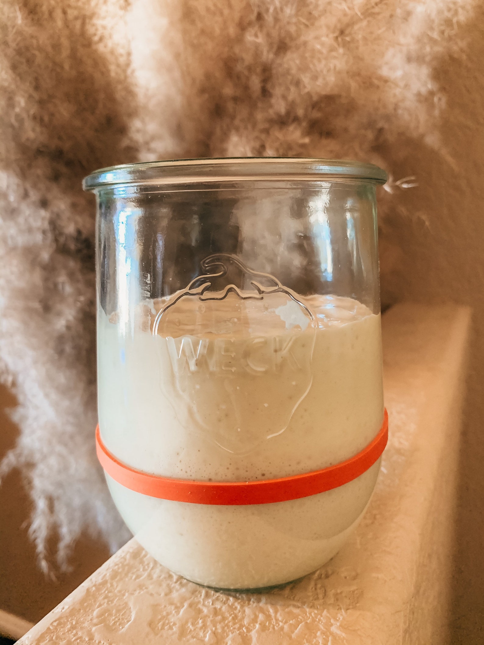 Ultimate Homesteading Sourdough Kit - Etsy