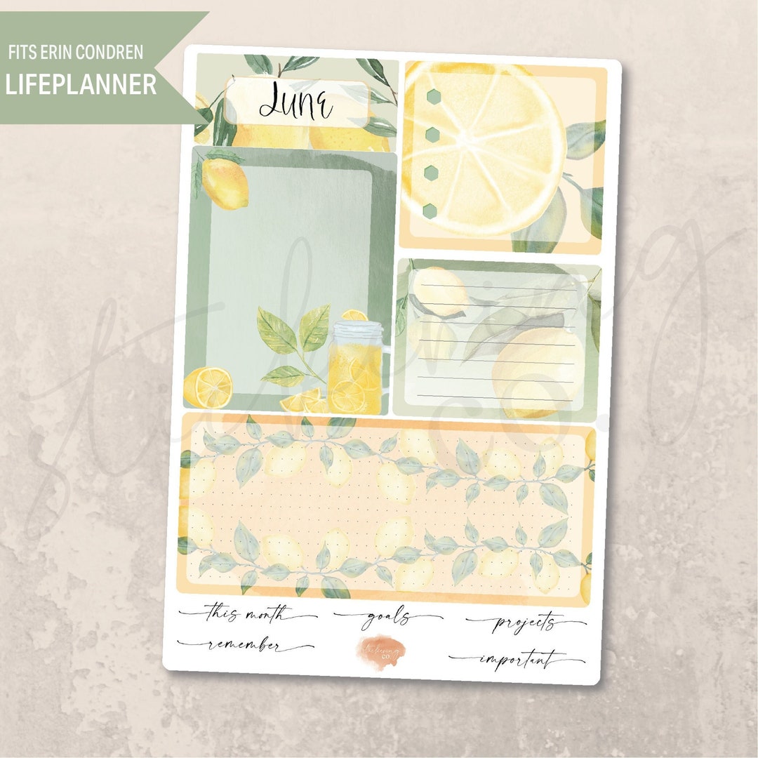 Notes Page June Lemons 7x9 Monthly Planner, Erin Condren, Printed Kit ...