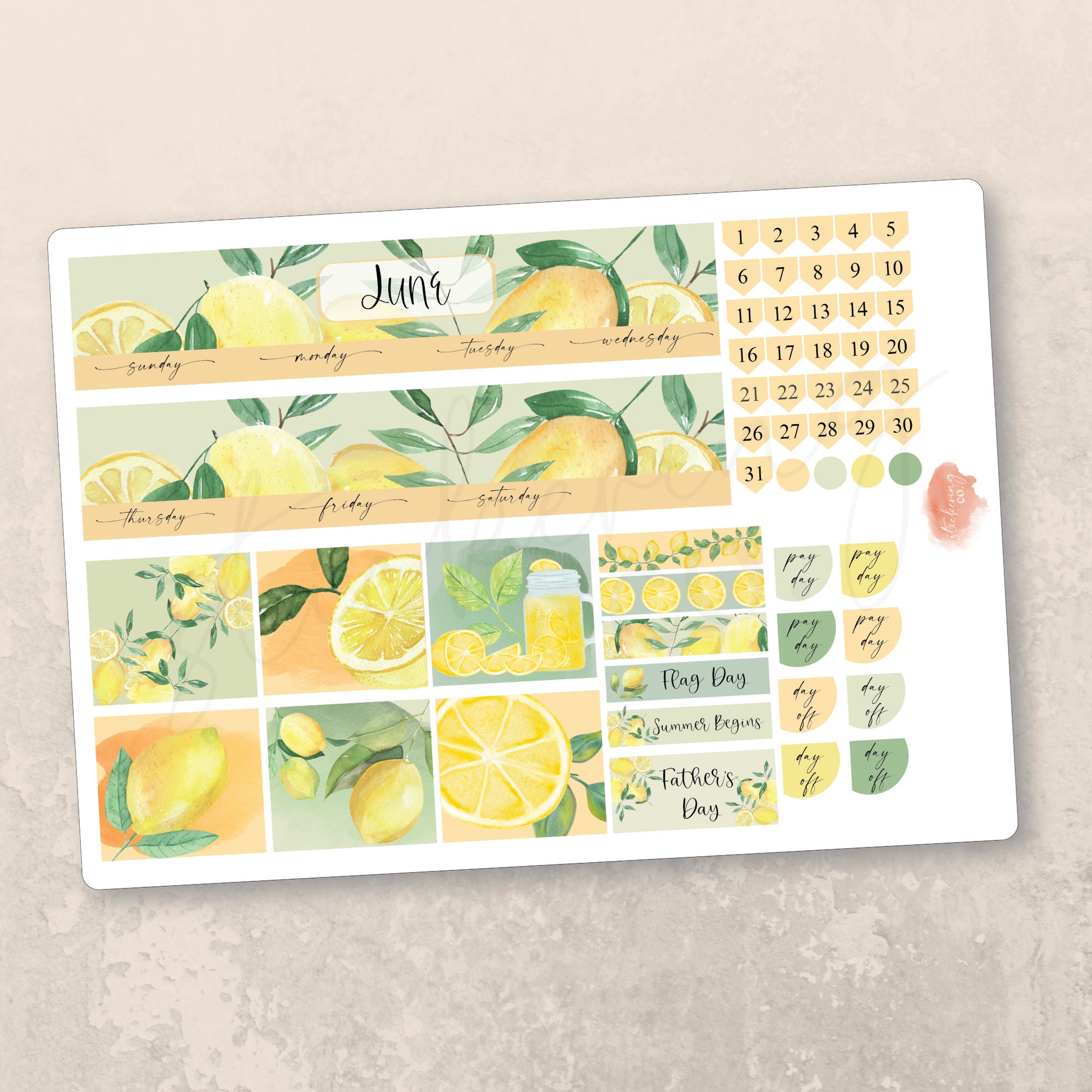 June Monthly Planner Lemons 7x9 Sticker Kit Erin Condren - Etsy