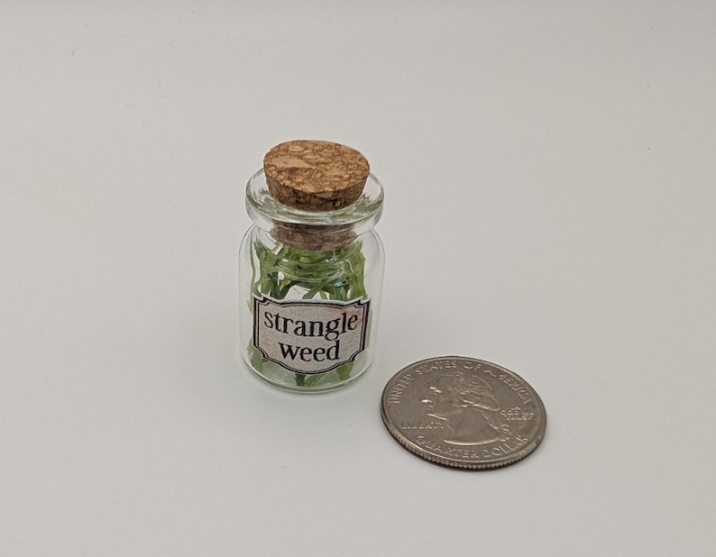 Tiny Apothecary Potion Bottle Magnets- Sets of 8 - Witchy Home Decor ...