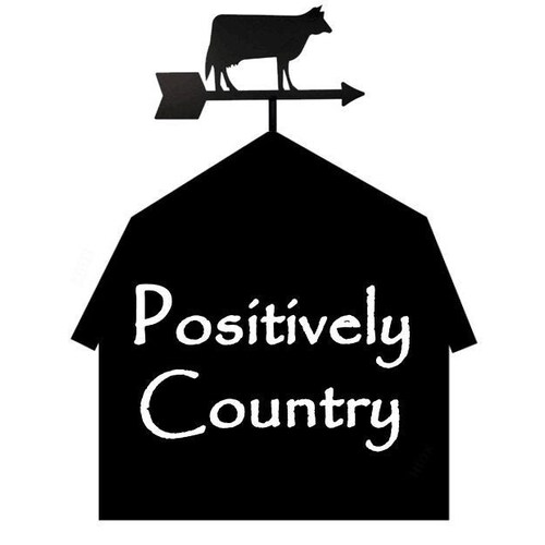 PositivelyCountry - Etsy