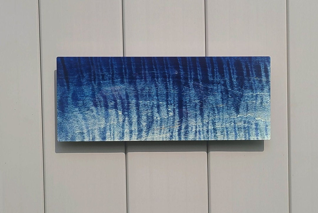 Wahoo Fish Wall Art - Coastal Art- Ocean Life Art - Etsy