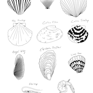 Florida Doodle - Etsy