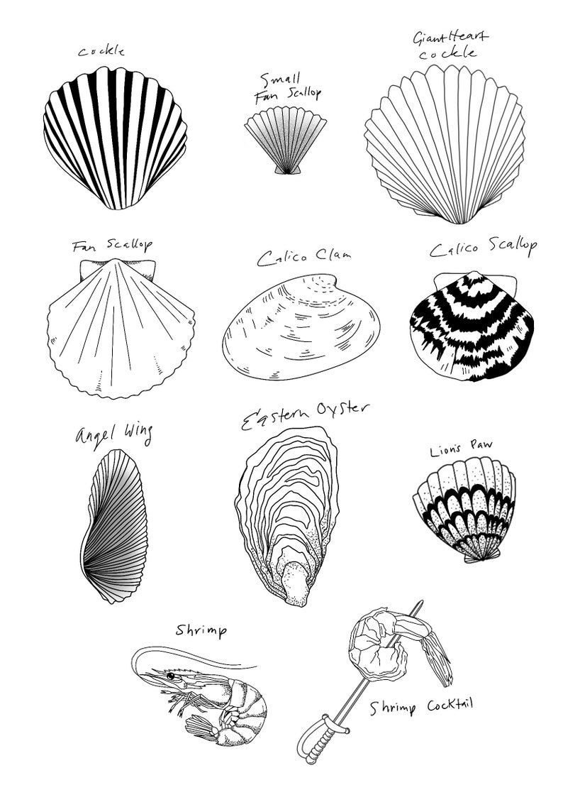 Florida Doodle - Etsy